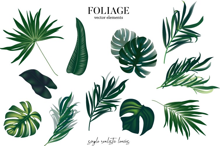 Greenery Vector Images (over 78,000)