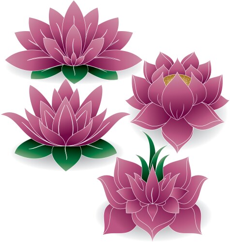 Lotus set Royalty Free Vector Image - VectorStock