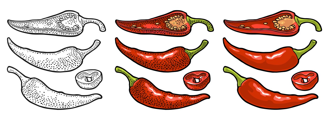 Chilli Drawing Vector Images (over 2,500)
