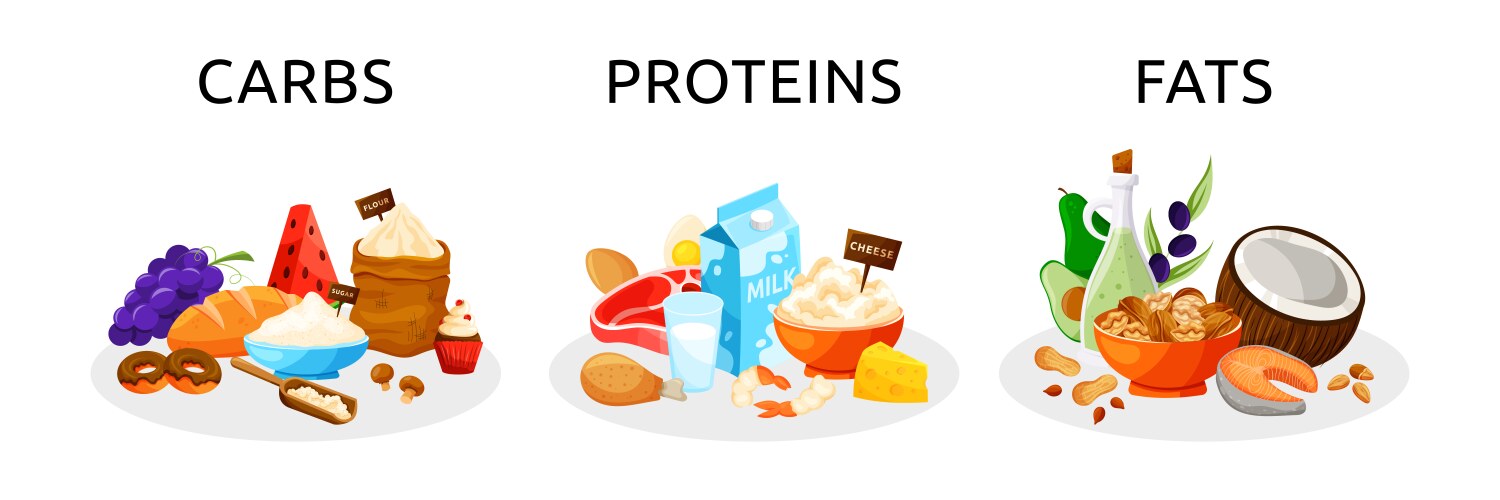 Diet Royalty Free Vector Image - VectorStock