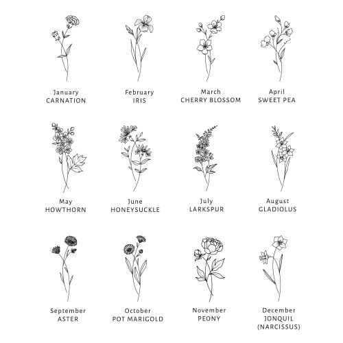 Birth month flowers bundle Royalty Free Vector Image