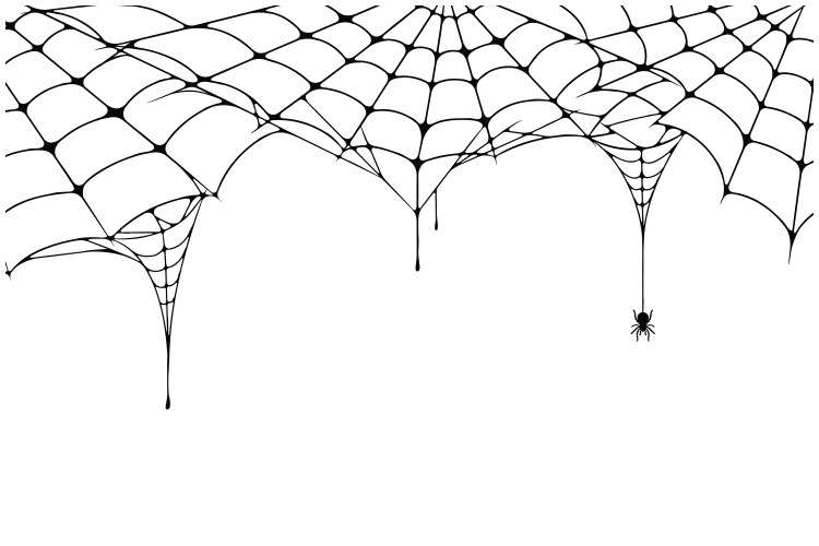Spider Web Cartoon Vector Images (over 17,000)