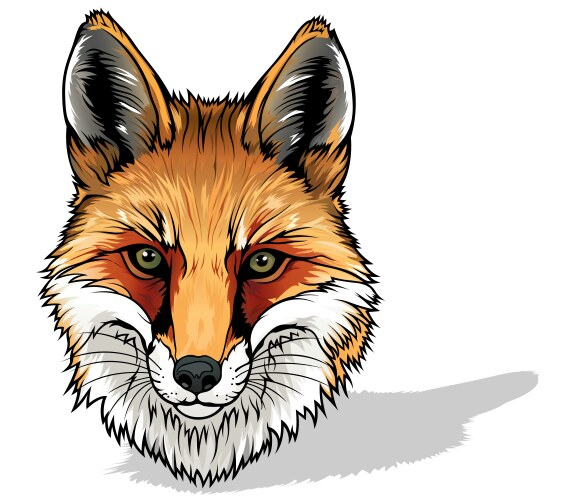 Fox Vector Images (over 69,000)