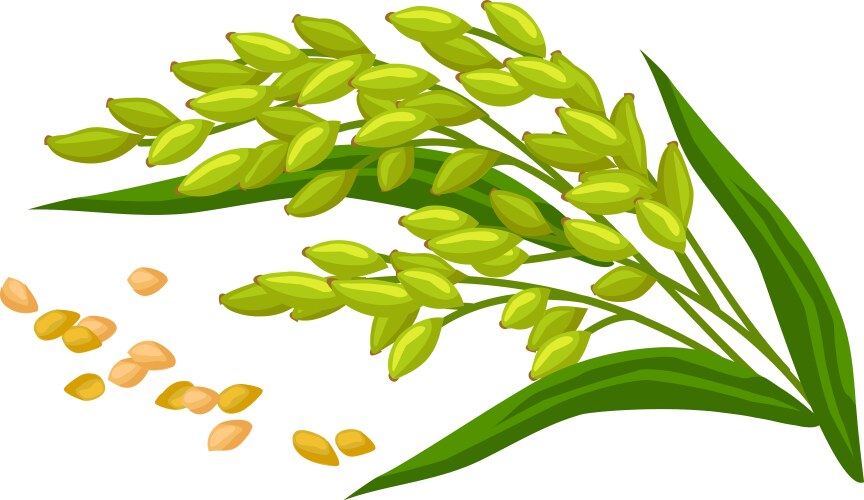 Oat Vector Images (over 18,000)