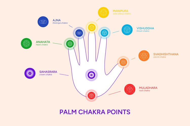 Palm chakra points chakras on a hand palm Vector Image