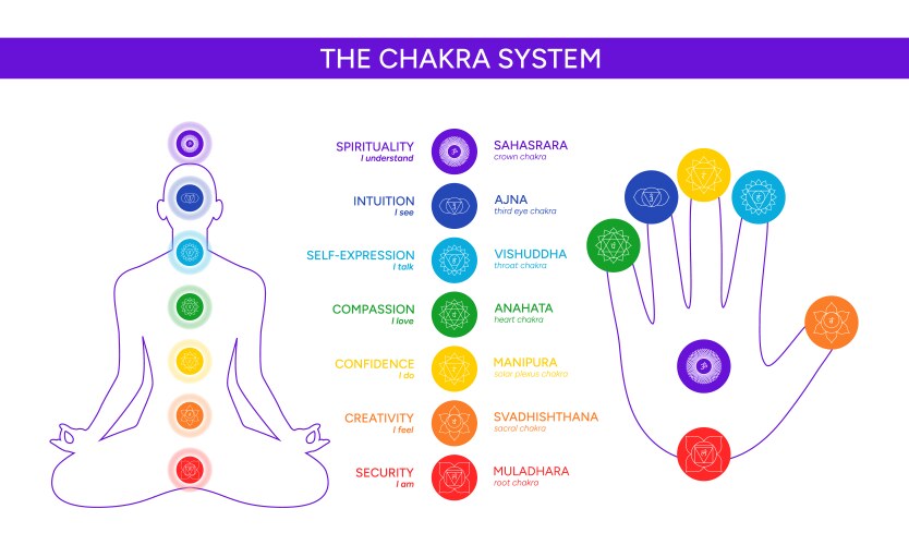 Palm chakra points chakras on a hand palm Vector Image
