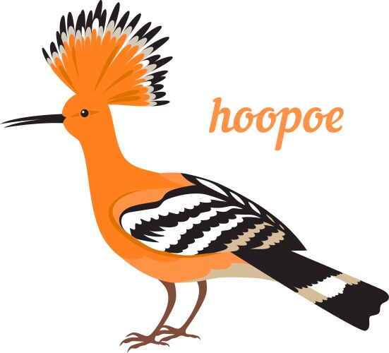 Hoopoe Royalty Free Vector Image - VectorStock