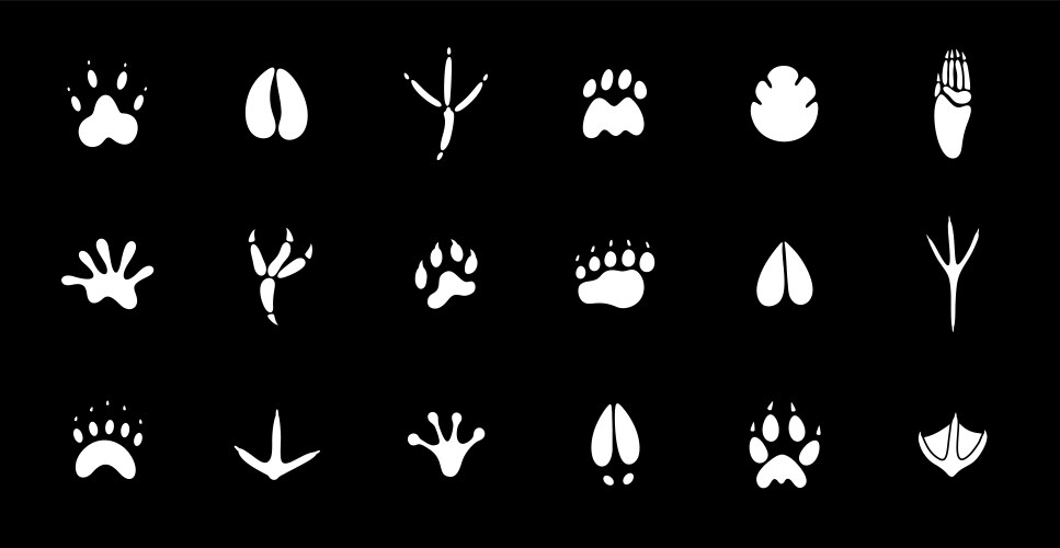 Paw Vector Images (over 150,000)