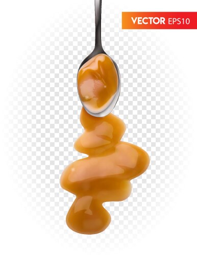 Hand holding a spoon with dripping sauce Vector Image