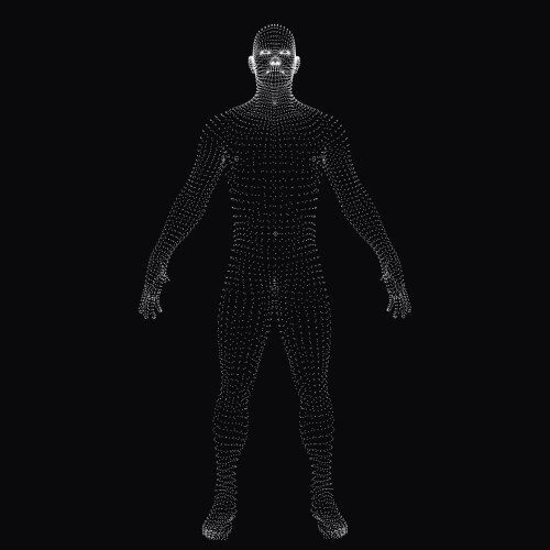 3d wireframe human body Royalty Free Vector Image