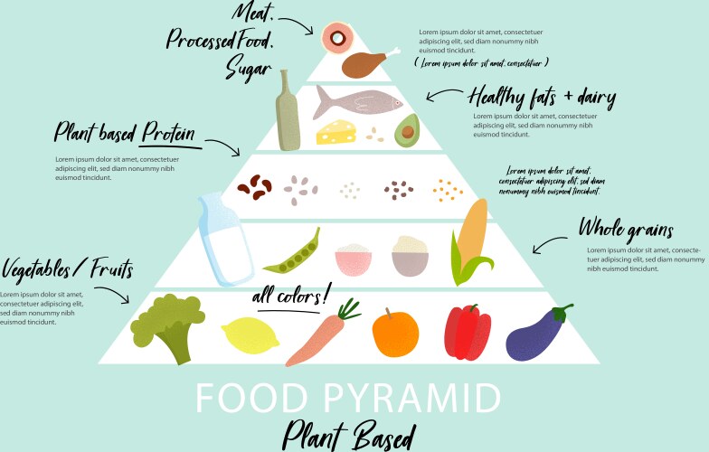 Food and diet pyramid Royalty Free Vector Image