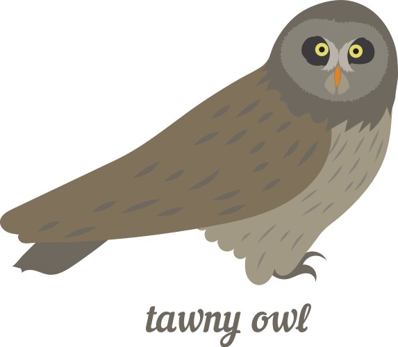 Owl Vector Images (over 59,000)