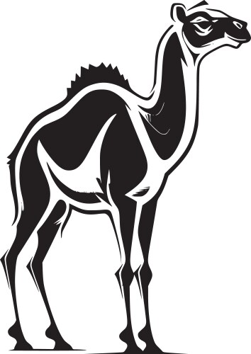 Camel - minimalist and simple silhouette Vector Image