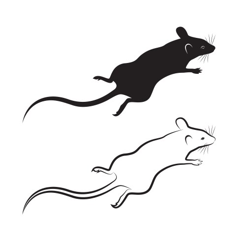 Rat Black and White Vector Images (over 11,000)
