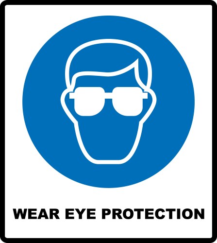 Eye protection required in this area serious Vector Image