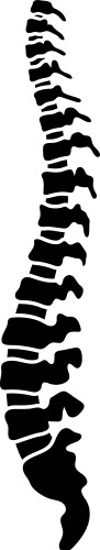 Spine Vector Images (over 32,000)
