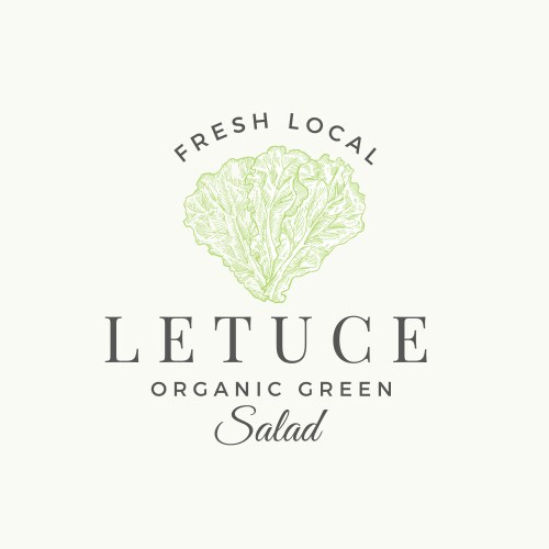 Romaine lettuce Royalty Free Vector Image - VectorStock