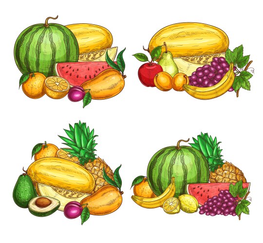 Vegetables harvest Royalty Free Vector Image - VectorStock
