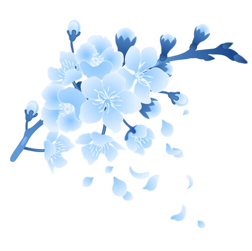 Graphic sakura flowers Royalty Free Vector Image
