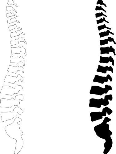 Spine Vector Images (over 28,000)