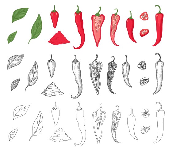 One line art style spicy pepper seamless pattern Vector Image