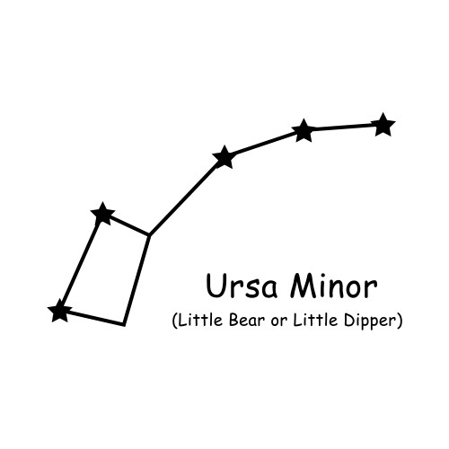 Ursa Minor Vector Images (over 100)
