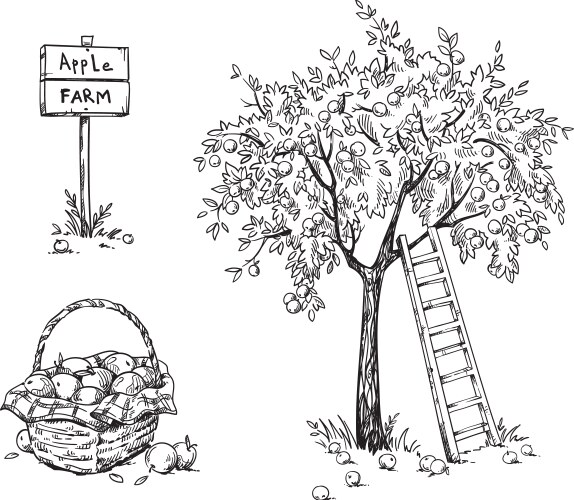 Apple Tree Outline Drawing