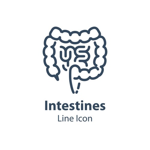 Internal Vector Images (over 550,000)