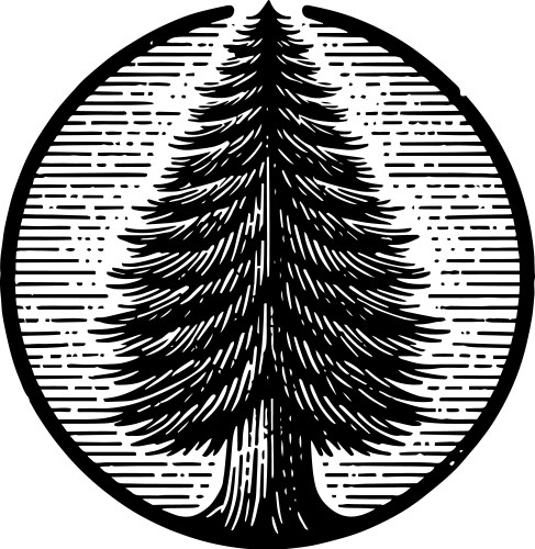 Redwood Logo Vector Images (79)