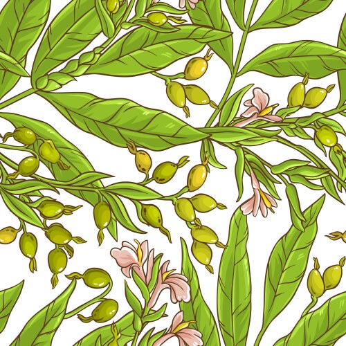 Lavender plant pattern Royalty Free Vector Image