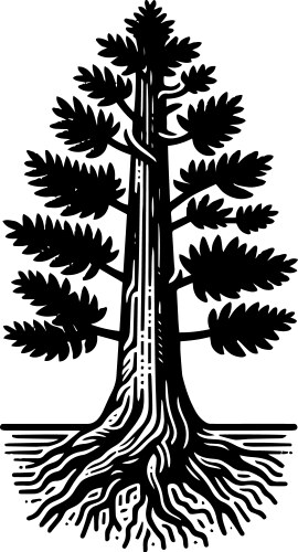 Redwood Logo Vector Images (79)