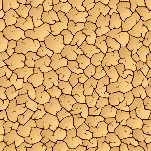 Dry cracked soil Royalty Free Vector Image - VectorStock