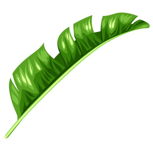 Cool green banana tree cartoon Royalty Free Vector Image