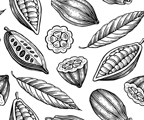 Cocoa tree chocolate beans seamless pattern Vector Image