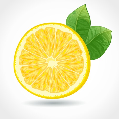 Lemon Royalty Free Vector Image - VectorStock