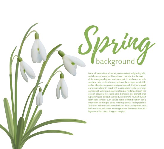Snowdrop Vector Images (over 4,500)