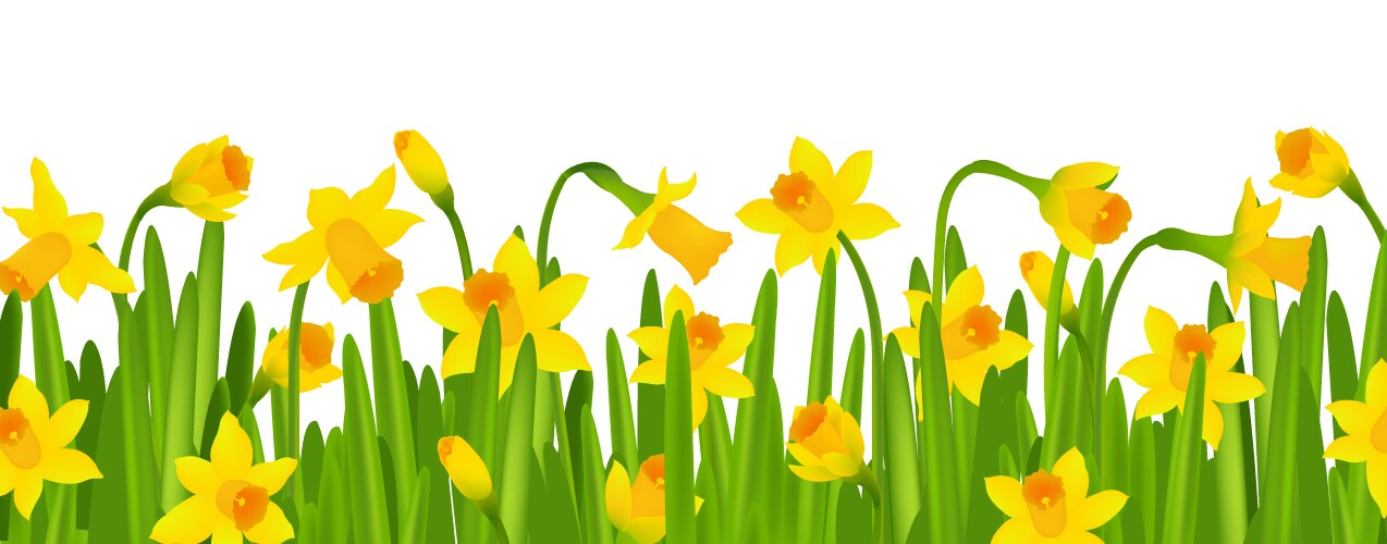 Red poppy seamless border Royalty Free Vector Image