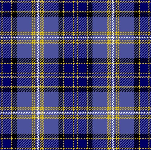 Blue tartan plaid design Royalty Free Vector Image
