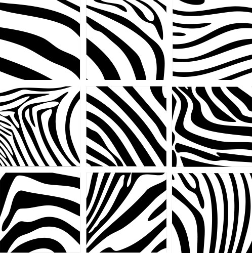 Zebra print Royalty Free Vector Image - VectorStock