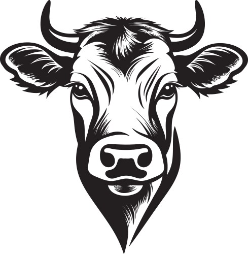 Beef cuts demystified understanding the basics Vector Image