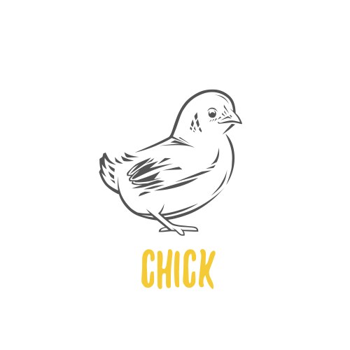 Chick Black and White Vector Images (over 10,000)