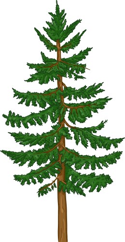Spruce Tree Cartoon Vector Images (over 11,000)