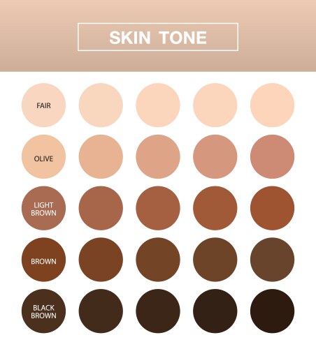 Skin human various body tones chart Royalty Free Vector Skin human various body tones chart Royalty Free Vector