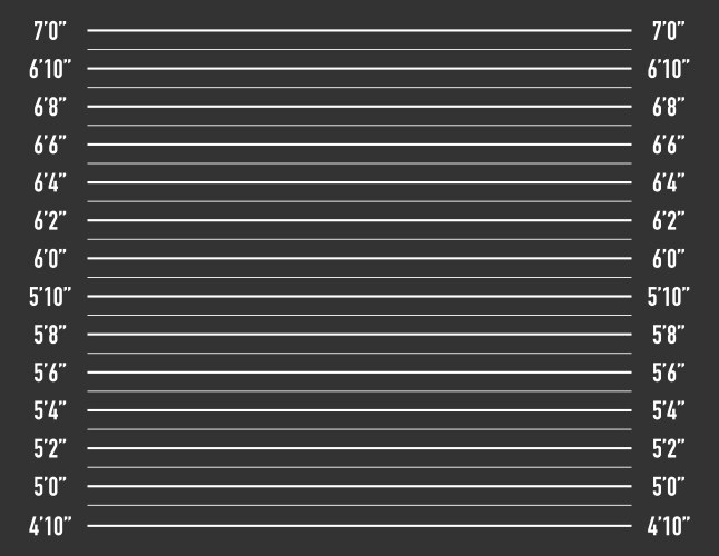 Height Chart in Jail Vector Images (over 190)