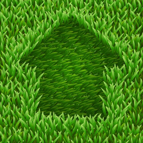 Heart on green grass Royalty Free Vector Image