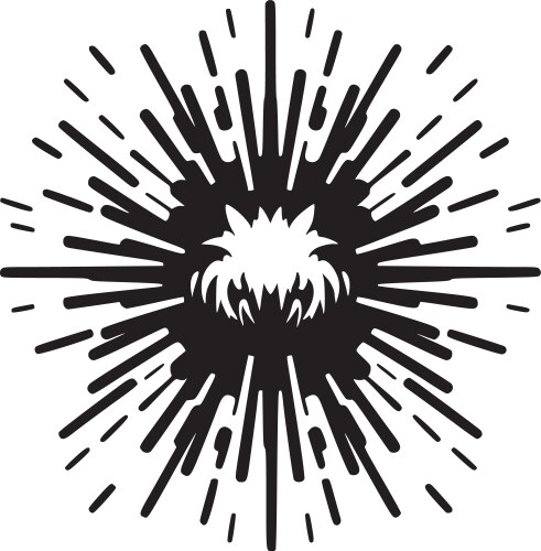 Sunbirst logo explosion light rays in decorative Vector Image