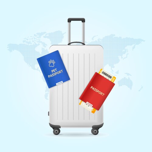 Realistic detailed 3d travel case set Royalty Free Vector