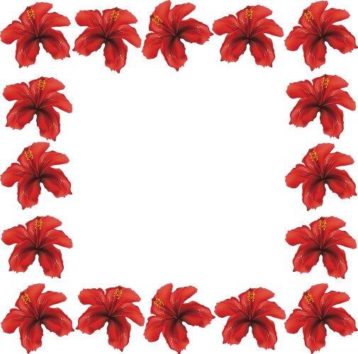 Hibiscus Frame Vector Images (over 2,900)