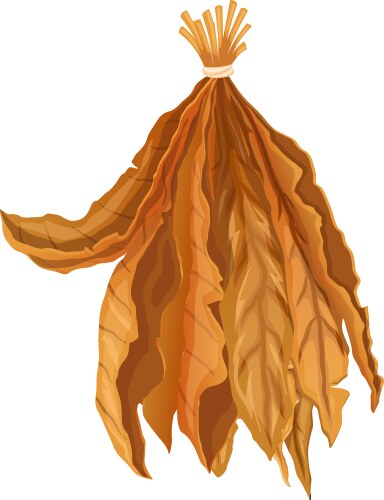 Tobacco leaf cartoon Royalty Free Vector Image