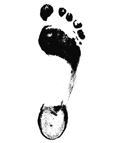 Foot step Royalty Free Vector Image - VectorStock